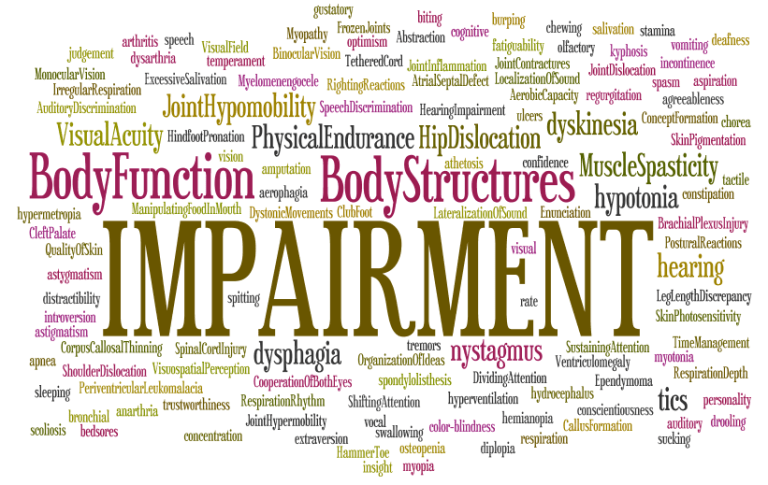 Exploring the ICF-CY: Identifying Body Structures & Body Functions ...