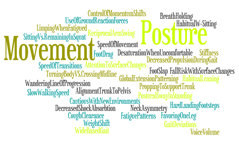 HOW does she move? Pulling the ICF-CY Together by Describing Motor ...